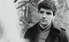 GIF the fall - animated GIF on GIFER