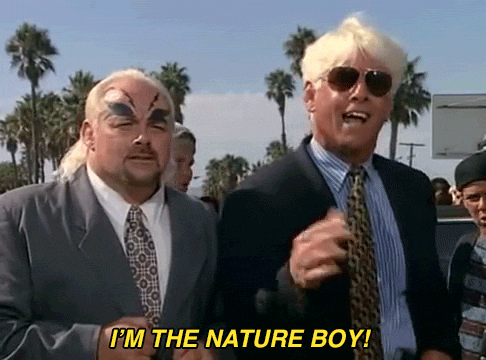 GIF 90s baywatch ric flair - animated GIF on GIFER