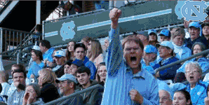Baseball fan GIF - Find on GIFER