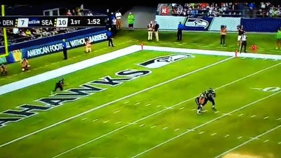 Aaron rodgers GIF - Find on GIFER