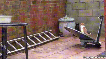 Well GIF - Find on GIFER
