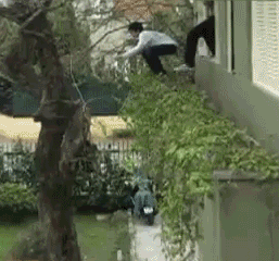 Fail tree grab GIF - Find on GIFER