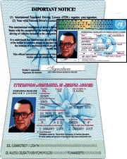 International GIF - Find on GIFER