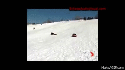 Program GIF - Find on GIFER