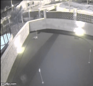 Security alarm cameras GIF - Find on GIFER