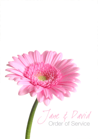 Order GIF - Find on GIFER