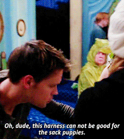 Sam evans GIF - Find on GIFER