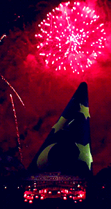 Fireworks GIF - Find on GIFER
