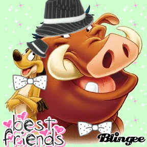 Timon GIF - Find on GIFER