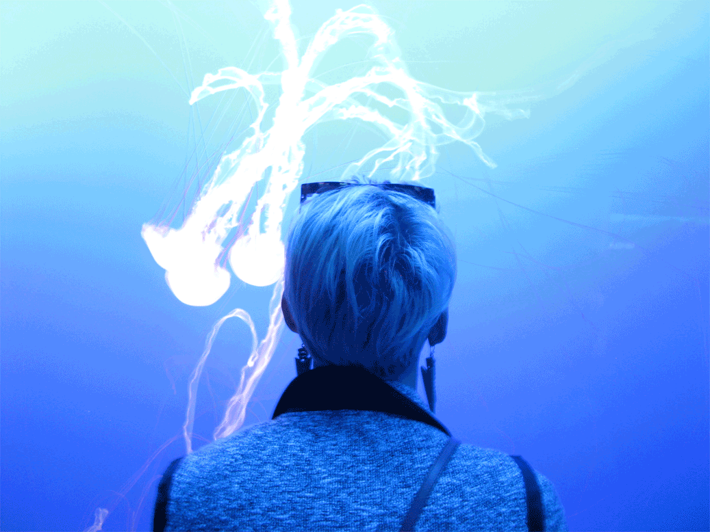 GIF colours - animated GIF on GIFER