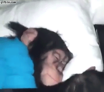 Wake me up GIF - Find on GIFER