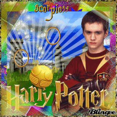Quidditch GIF - Find on GIFER