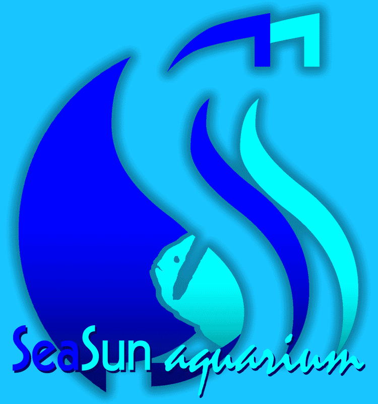 GIF 150 - animated GIF on GIFER