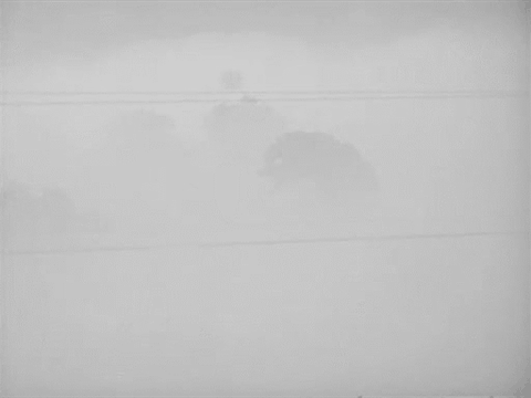 Fog GIF - Find on GIFER