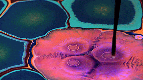 Psychedelic GIF - Find on GIFER