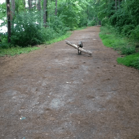 Time log GIF - Find on GIFER