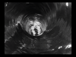 GIF magnolia - animated GIF on GIFER