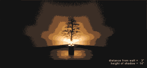 GIF magnolia - animated GIF on GIFER