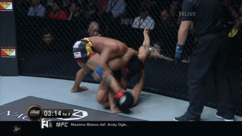 Fry GIF - Find on GIFER