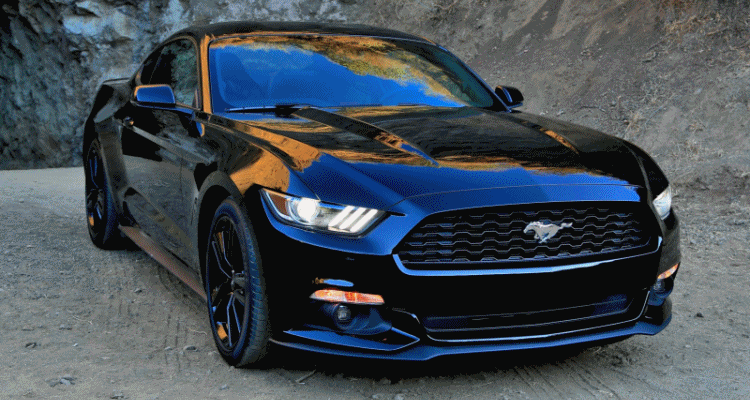Mustang GIF - Find on GIFER