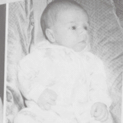 Wedding Card Gif - Wedding Card