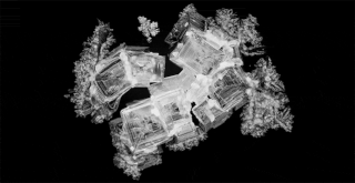 101 Dalmatians Pongo Angry