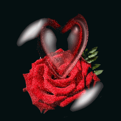 Roses GIF - Find on GIFER