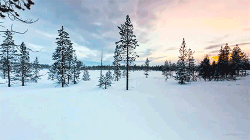GIF forest nature snow - animated GIF on GIFER - by Adorazel