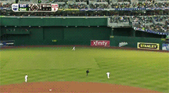 Ambient GIF - Find on GIFER