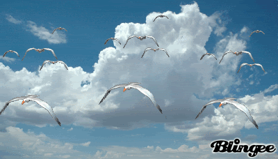 Sky GIF - Find on GIFER