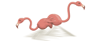 Flamingo GIF - Find on GIFER