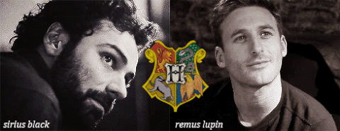 GIF nba mvp - animated GIF on GIFER