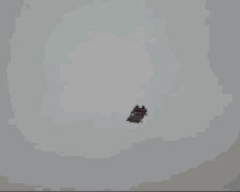 GIF reflection - animated GIF on GIFER