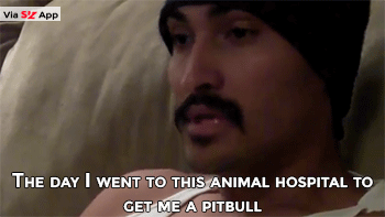 GIF recording - animated GIF on GIFER