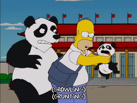 Homer simpson episode 12 season 16 GIF - Find on GIFER