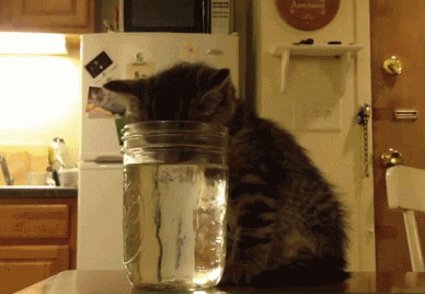 Water GIF - Find on GIFER