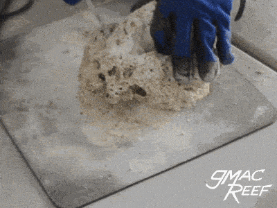 Reef GIF on GIFER - by Vokinos