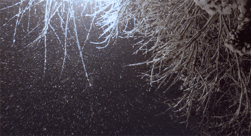 Snow christmas snowing GIF on GIFER - by Gravelraven