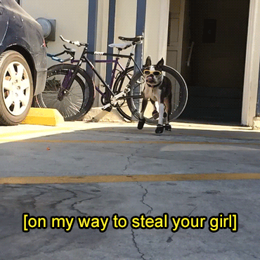 Church rejoice GIF - Find on GIFER
