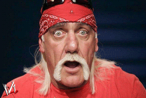 GIF hulk hogan - animated GIF on GIFER
