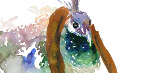 GIF animation art animals - animated GIF on GIFER