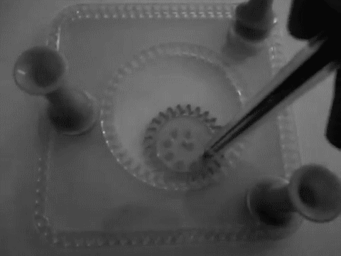 Test characters GIF - Find on GIFER