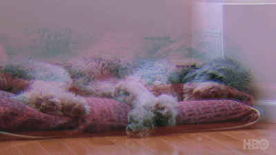 GIF hbo high maintenance - animated GIF on GIFER