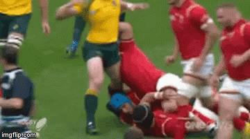 Rugby world cup GIF - Find on GIFER