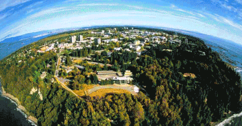 GIF male - animated GIF on GIFER