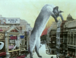 Terry python GIF - Find on GIFER