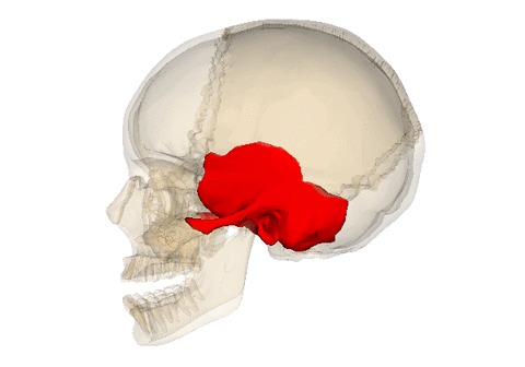 Os GIF - Trouver sur GIFER