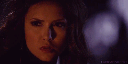 Bou GIF - Find on GIFER