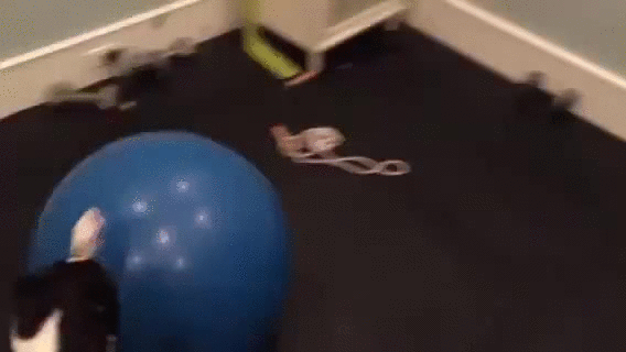 Sully GIF - Find on GIFER