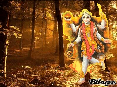 Kali GIF - Find on GIFER